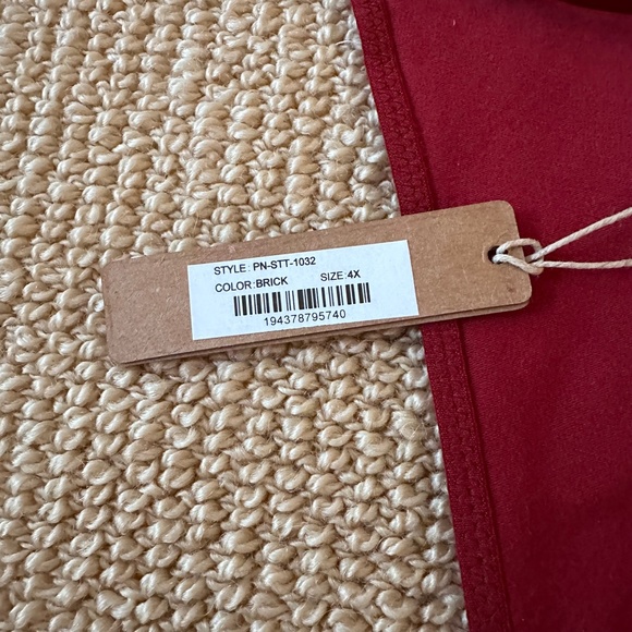 SKIMS | Intimates & Sleepwear | Kim Kardashian Skims Brick Tstring ...